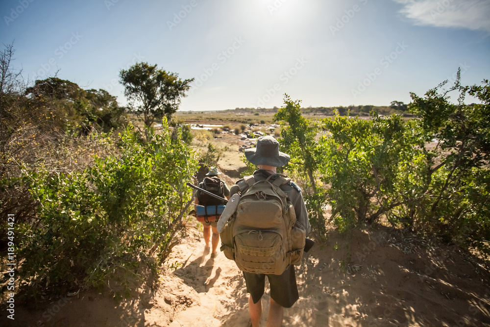 Trackers in South Africa. Game Rangers in South Africa walking through ...