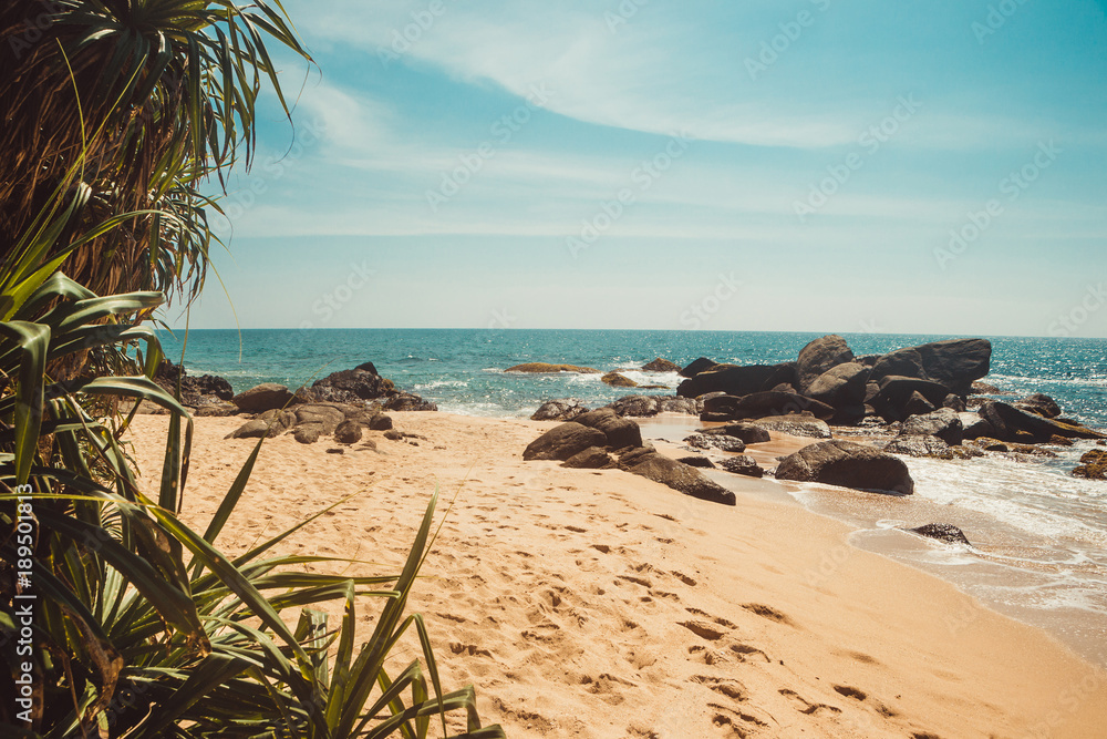 Indian Ocean Coast with stones and pandanus trees. Tropical vacation ...