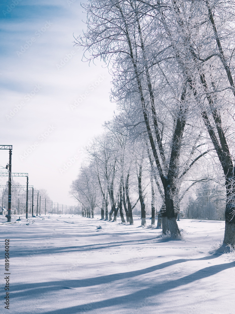 Desolate Winter Landscape