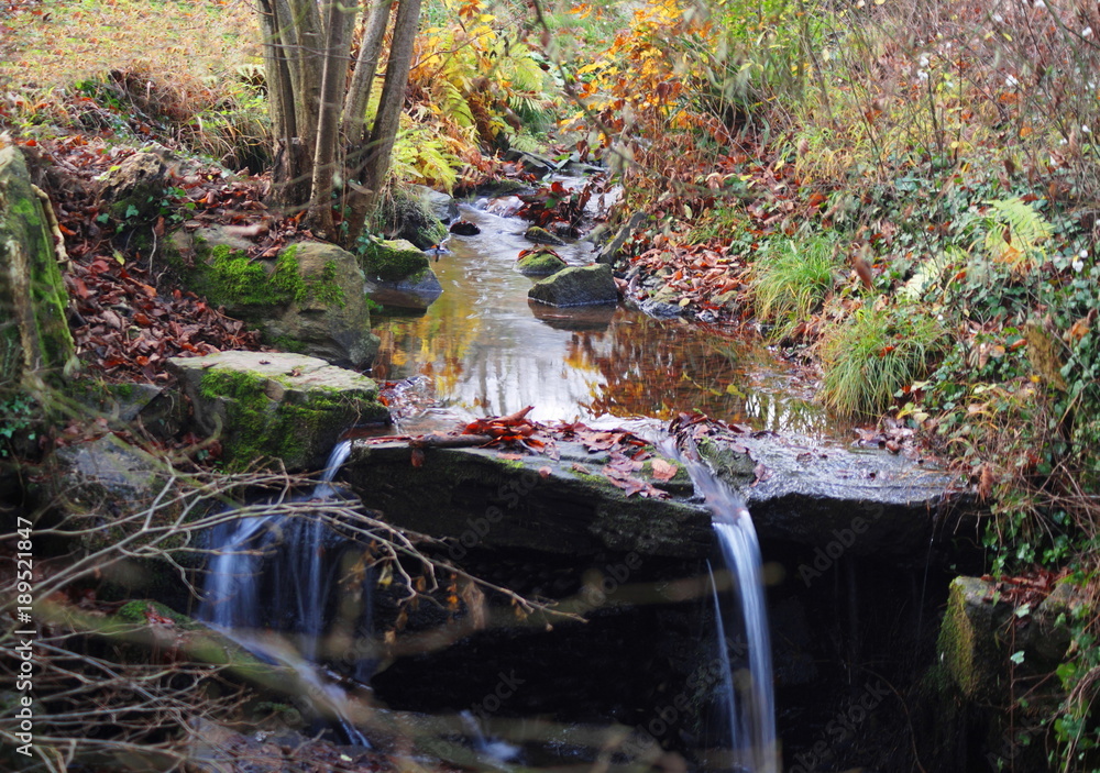 Fliessender Bach im Wald mit kleinem Wasserfall Stock Photo | Adobe Stock