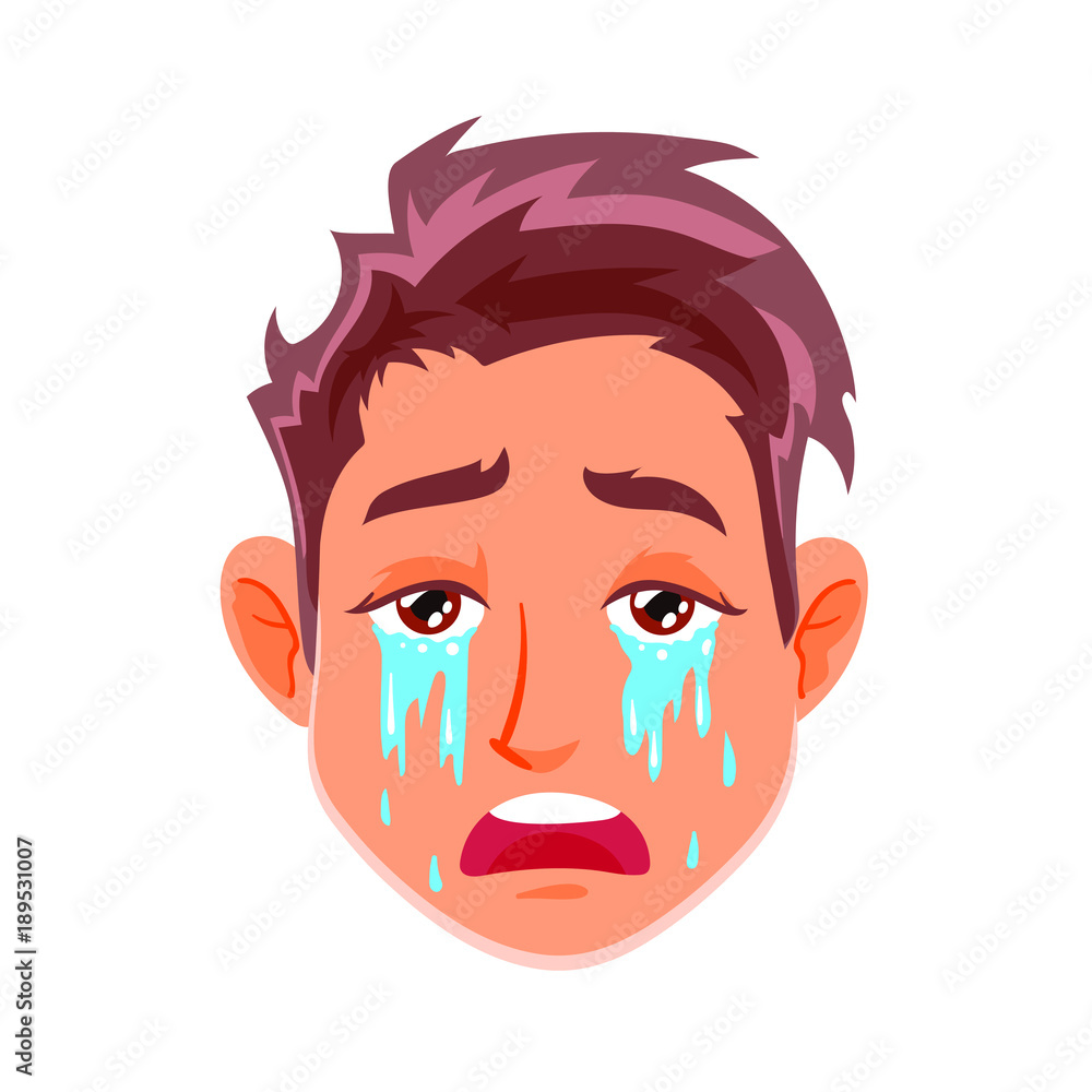 Face of young crying boy, vector illustration isolated on white ...