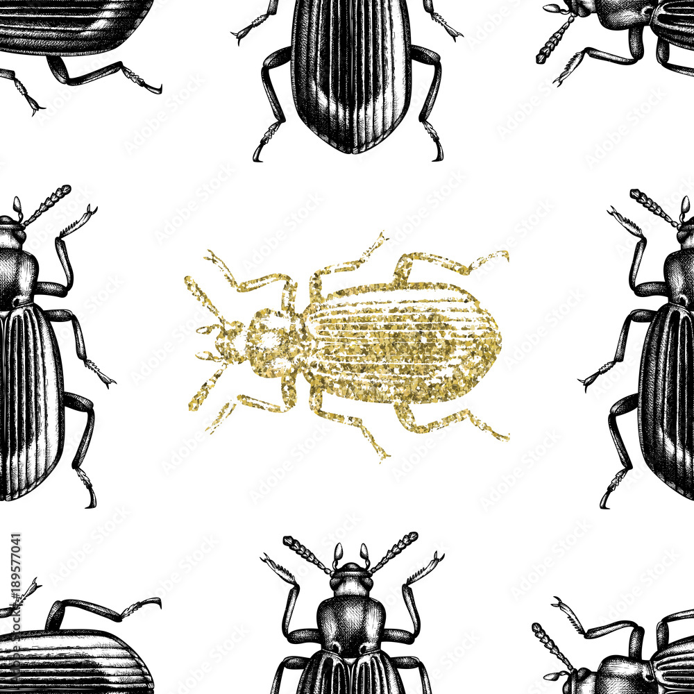 Darkling beetle seamless pattern. Black and gold bugs on white ...