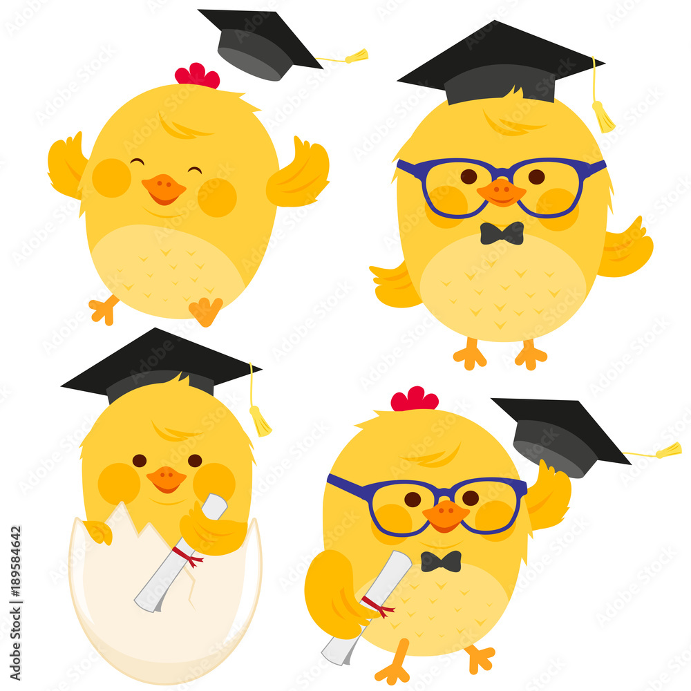 Cute chicken students with graduation hats and diplomas. Vector ...