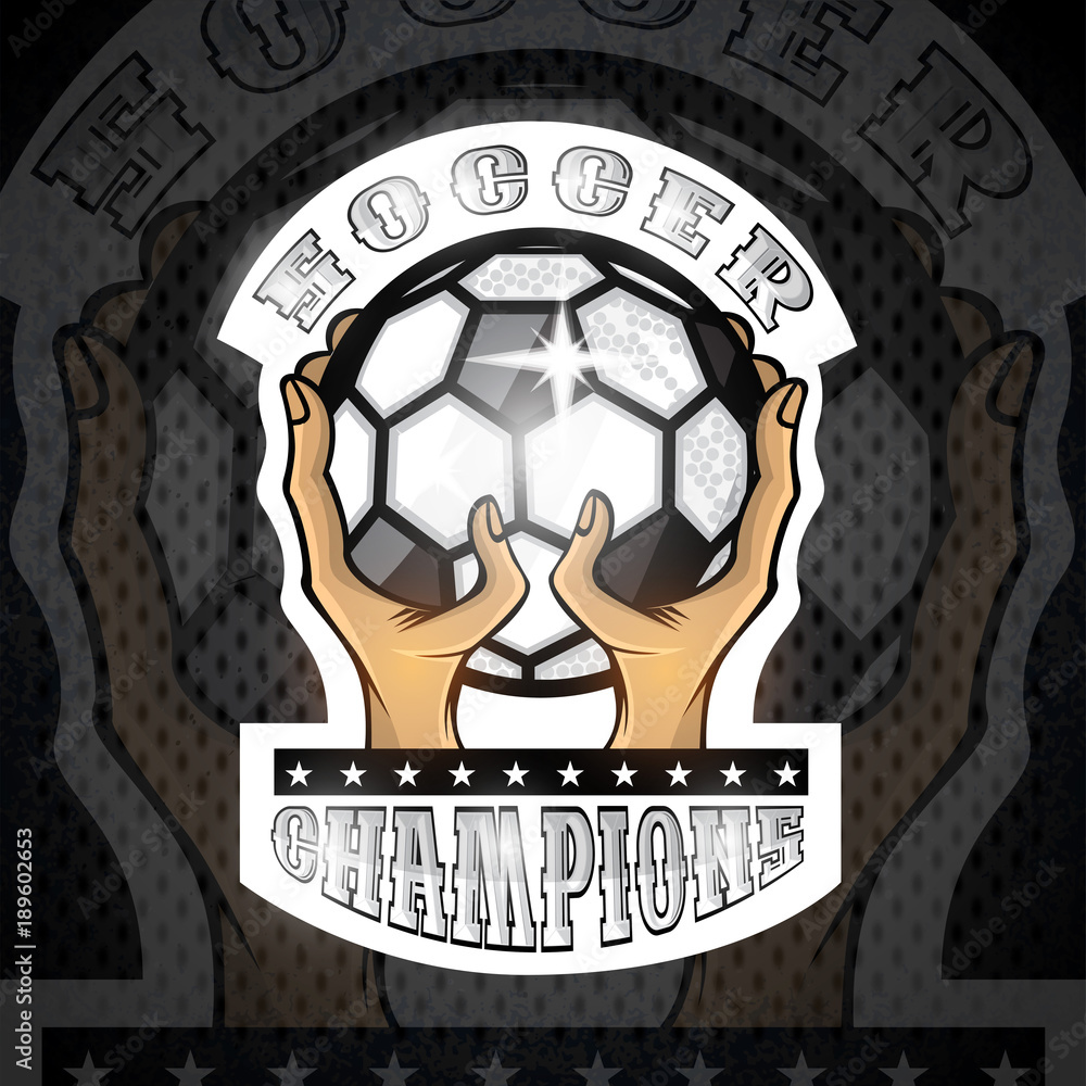 Two Soccer Ball Logo