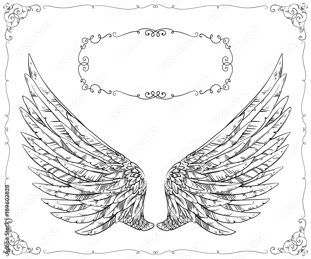 Vintage wings and frame with floral ornament. Isolated objects. Hand ...