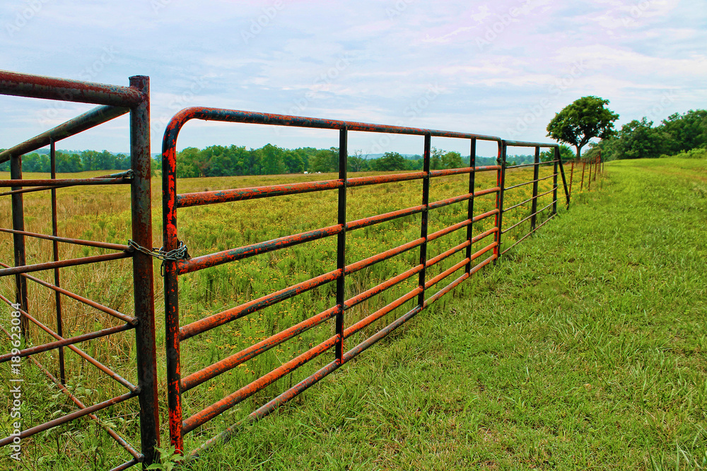 Metal Farm Fence
