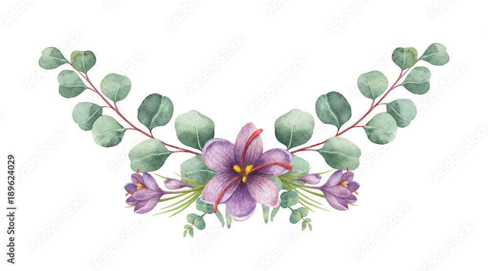 Eucalyptus Flower Vector