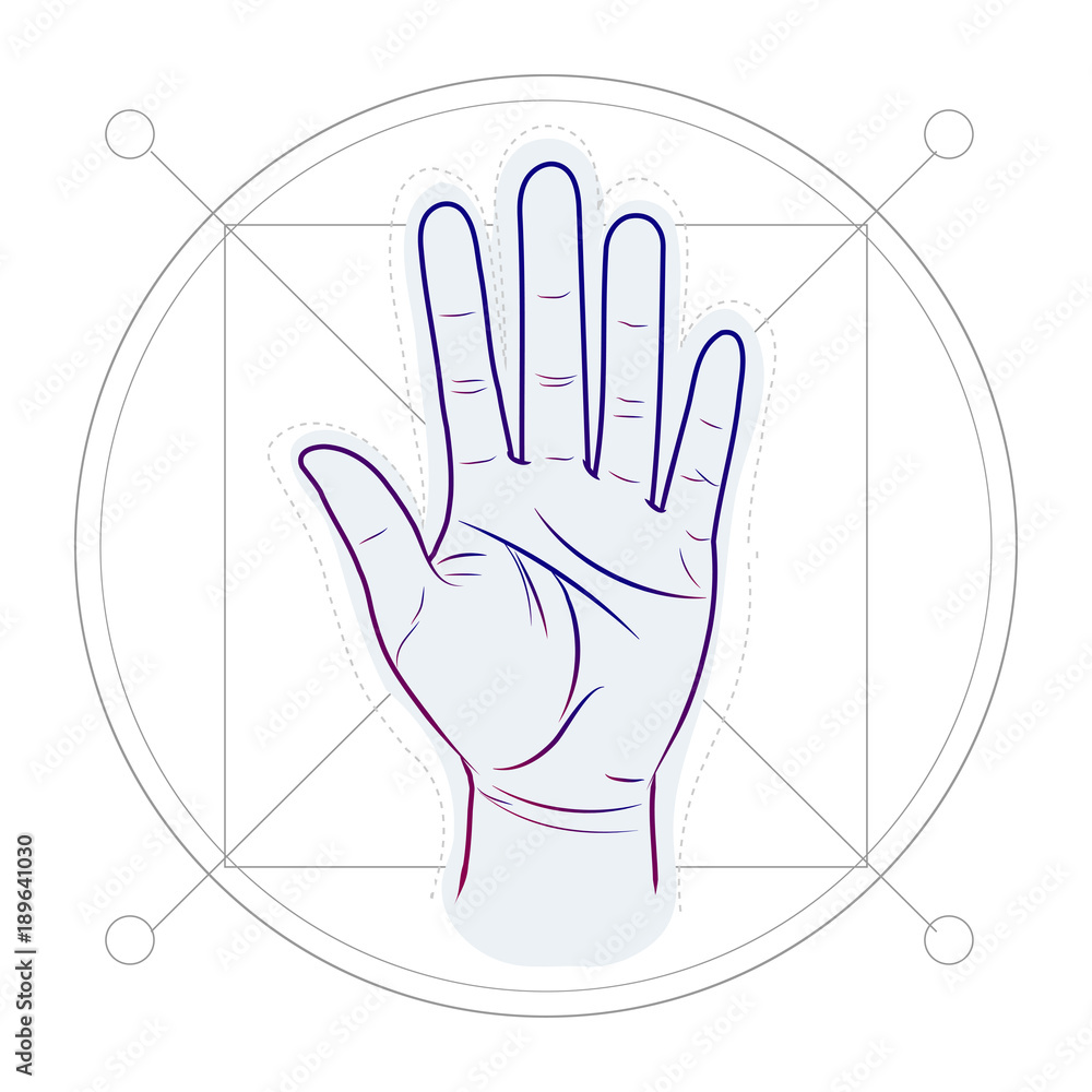divination by lines on a hand. Palm reading or palmistry Stock Vector ...