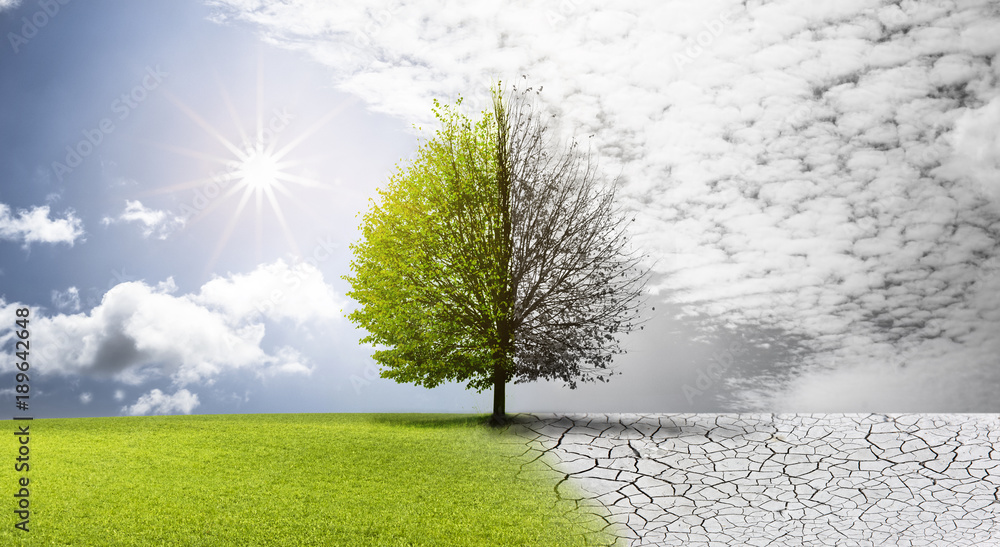 Natur im Wandel Stock-Foto | Adobe Stock