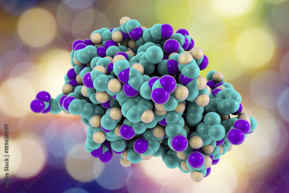 Molecular model of lysozyme protein found in tears, saliva, human milk ...