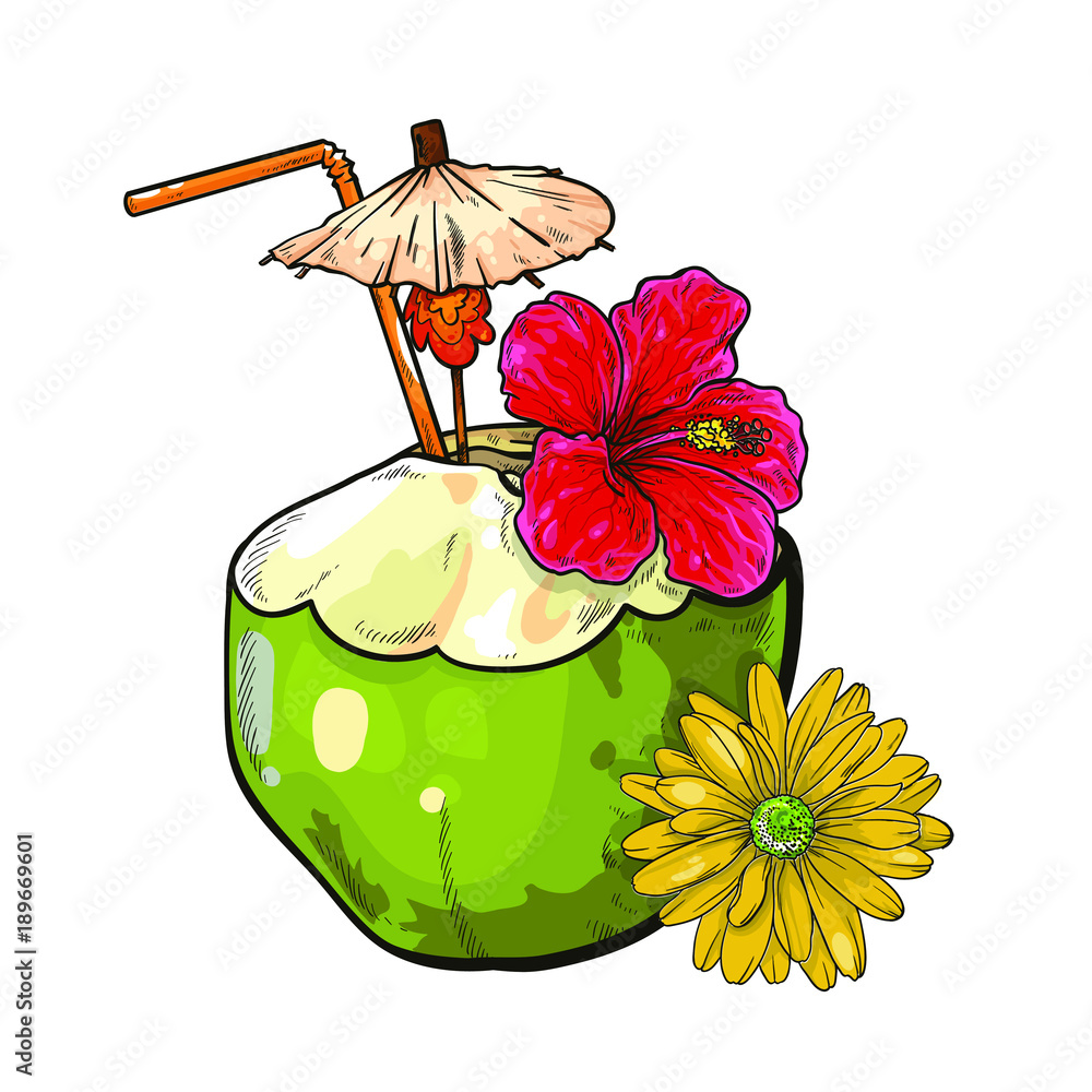 Coconut Drink Cartoon