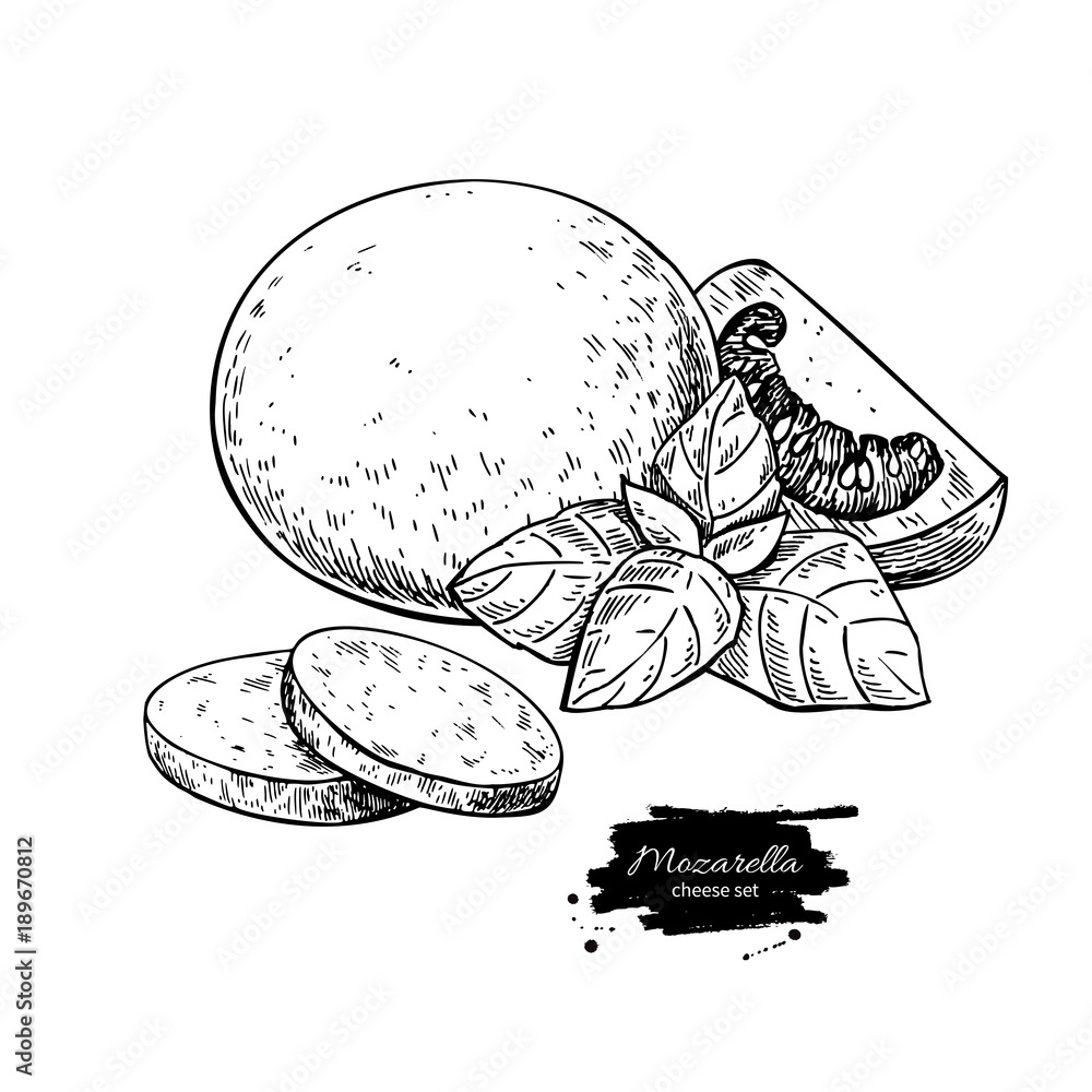 Mozzarella cheese vector drawing. Hand drawn round piece with ba Stock ...
