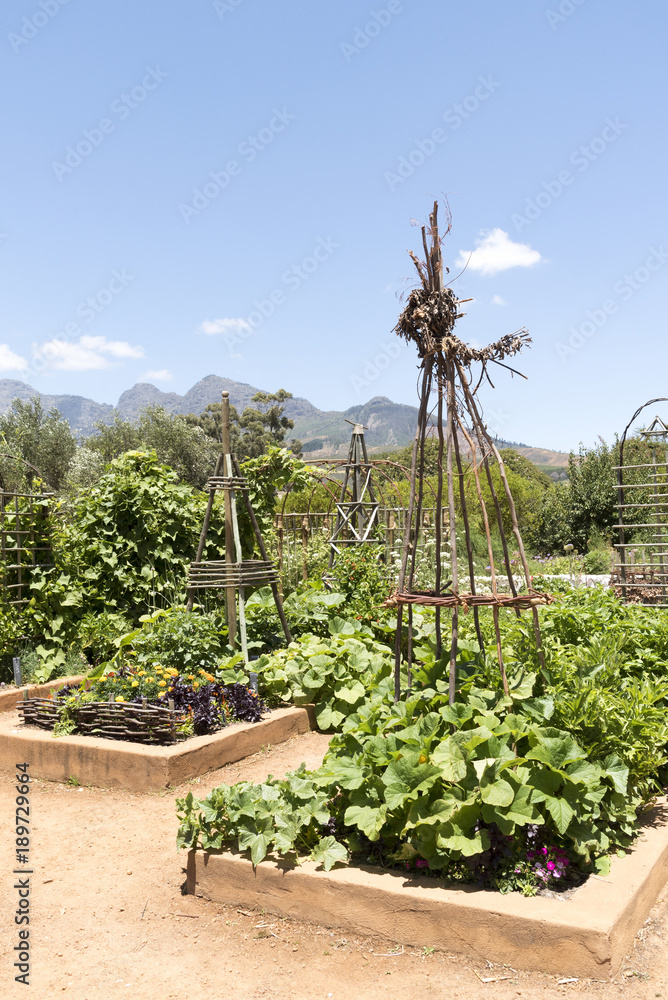 Simondium near Paarl Western Cape South Africa. Circa 2017. Gardens of ...