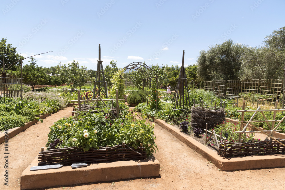 Simondium near Paarl Western Cape South Africa. Circa 2017. Gardens of ...