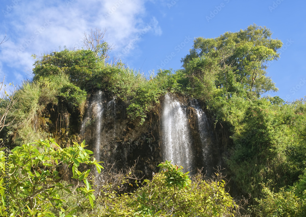 waterfall in the nature Stock Photo | Adobe Stock