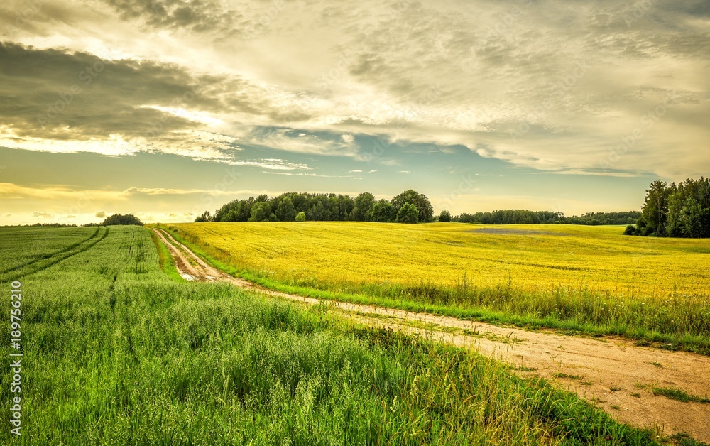 A beautiful shot of a path through a green meadow with a bright sunny ...