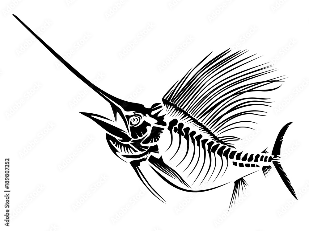 Sail fish skeleton isoated on white Stock Vector | Adobe Stock