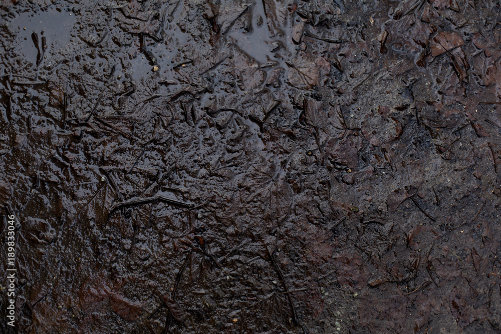 Beautiful top view of autumn damp mud ground puddle background Stock ...
