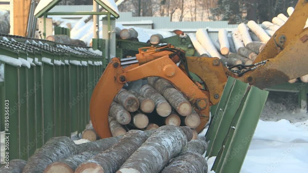 Loading lumber. Forest logs, unload the tractor, transporting the logs ...