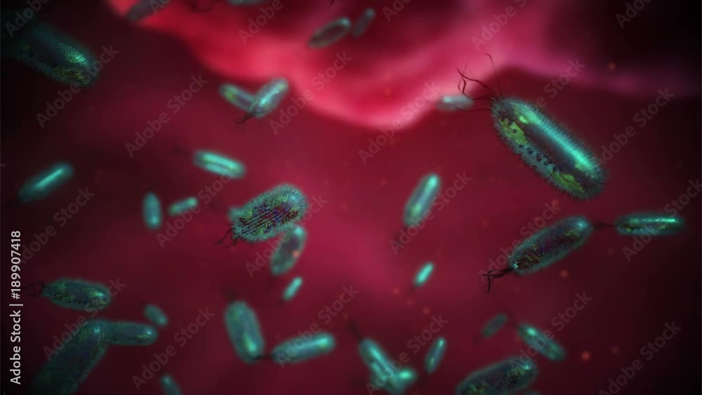 Bacteria Infection. 3d Animation of Group of Bacterias. Medical Video ...