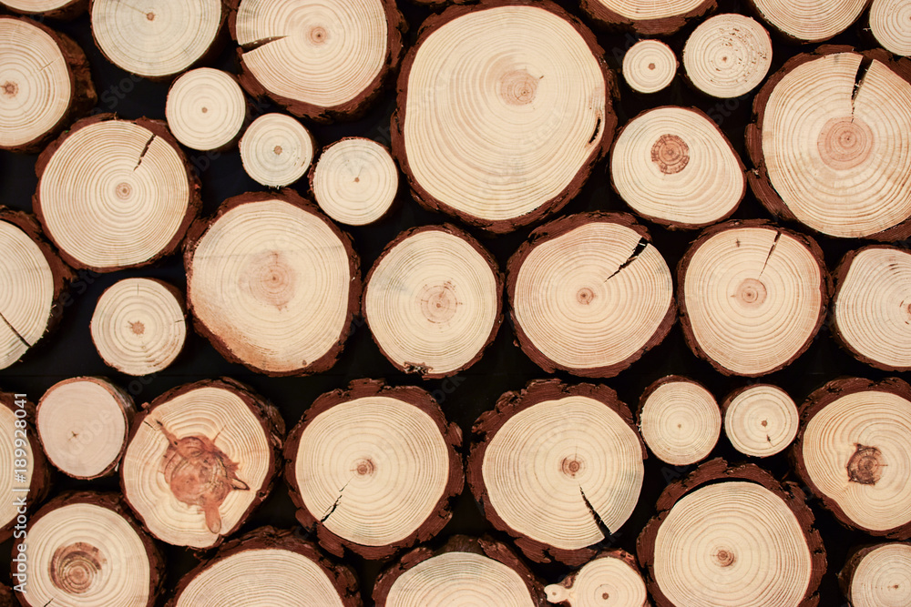 Rounded cutting wood is arranged to the beautiful natural decorative ...