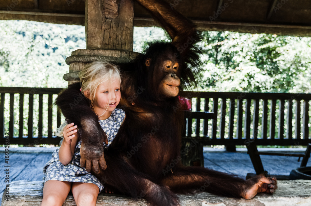blond girl hugging a big monkey Stock Photo | Adobe Stock