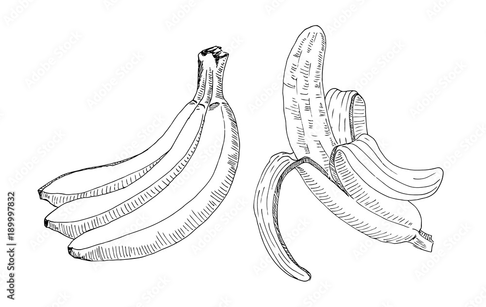 Peeled Banana Drawing