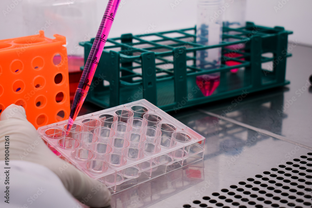 Well plates with a cell samples inside and loading a sample with a ...