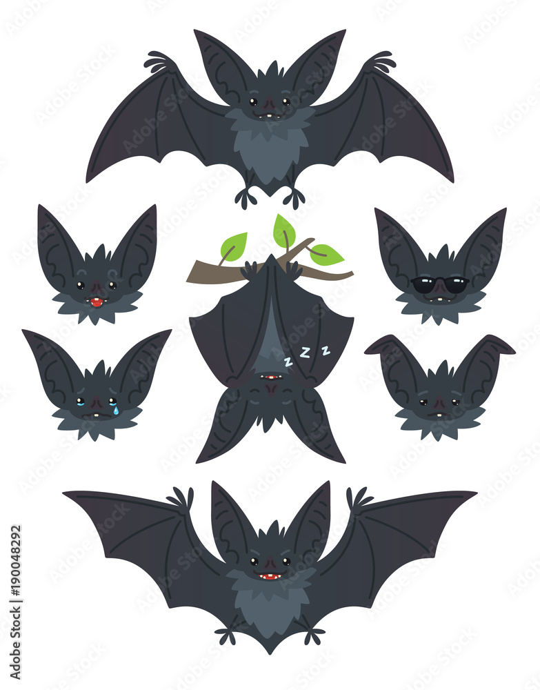 Bat in various poses. Flying, hanging. Grey bat-eared snouts with ...
