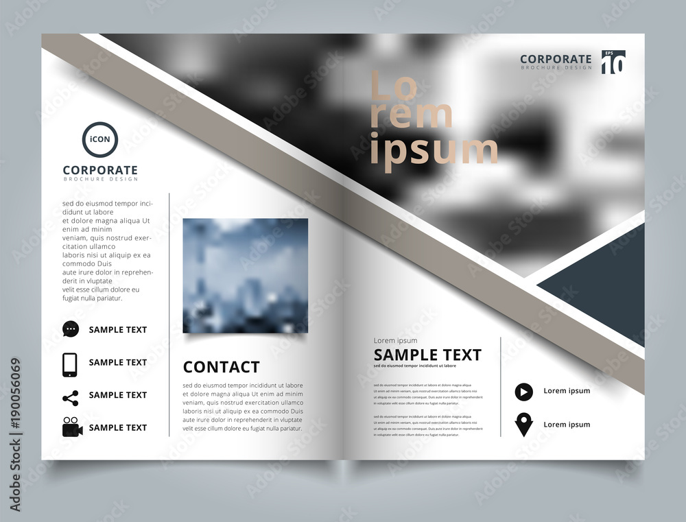 Brochure geometric layout design template, Annual report, Leaflet ...