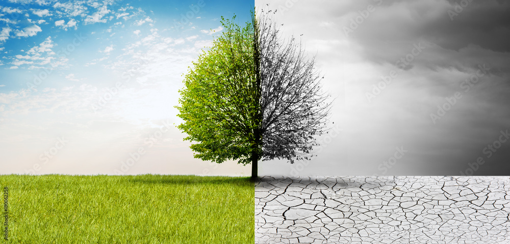 Natur im Wandel Stock-Foto | Adobe Stock