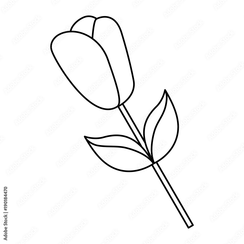 Flower Stem Vector