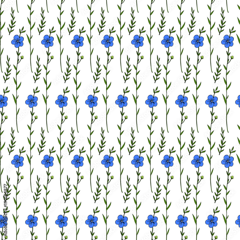 Seamless floral pattern, Flax plant, wild field flower isolated on ...
