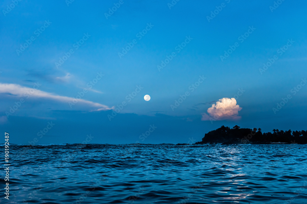 Night seascape with the ocean shore and palms on the horizon. Moonlight ...