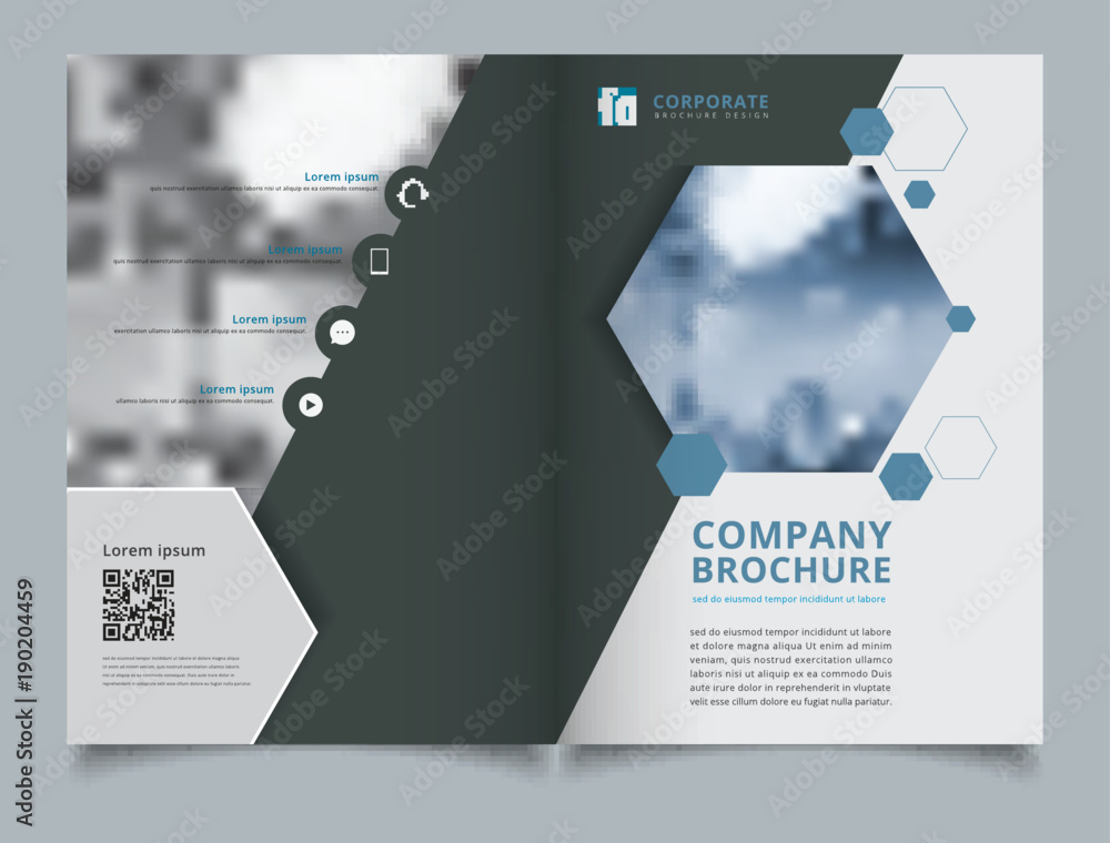 Brochure geometric hexagon layout design template, Annual report ...