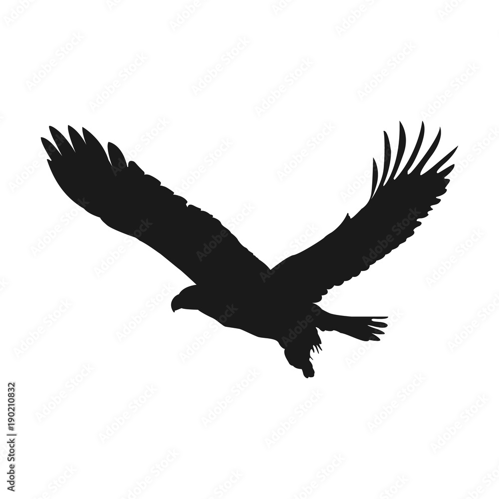 Flying Eagle Vector