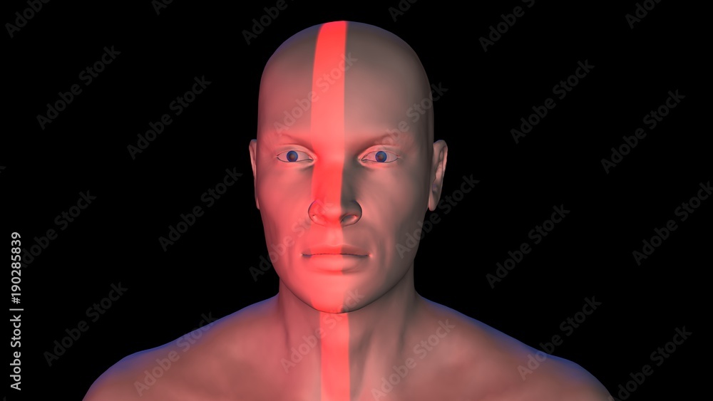 Face recognition , biometric verification and scanning ray, light beam ...