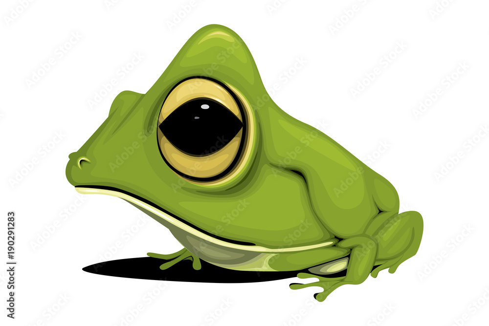 Vector Logo Illustration Crazy Frog Emblem Amphibious Icon Ecologic ...