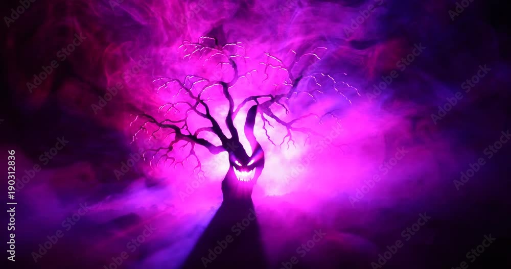 Silhouette of scary Halloween tree with horror face on dark foggy toned ...