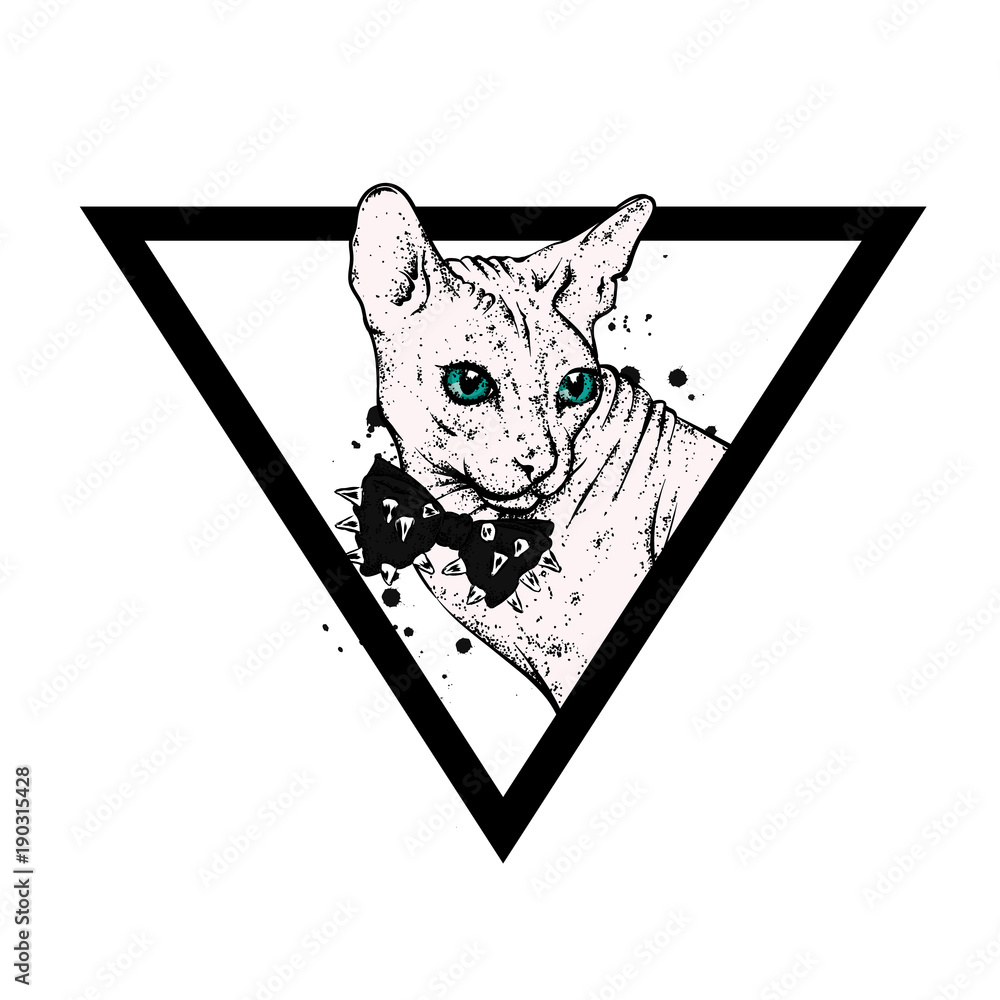 Beautiful bald cat in a triangle. Cat of Sphynx breed. Vector ...