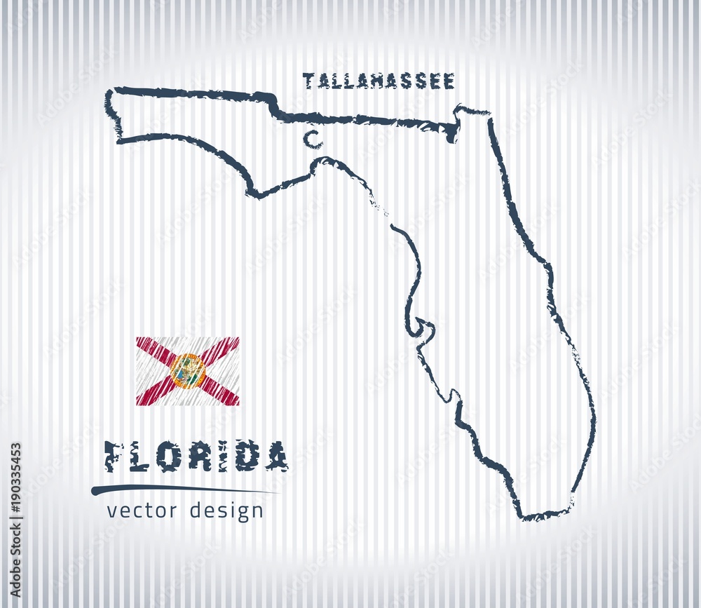 Florida vector chalk drawing map isolated on a white background Stock ...