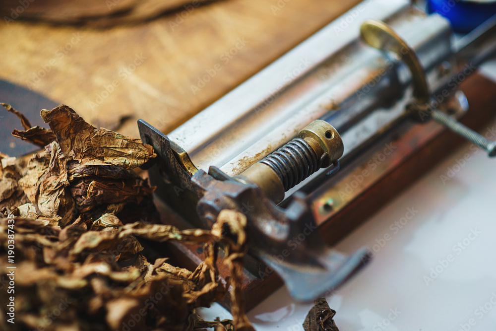 Process of making traditional cigars from tobacco leaves with own hands ...