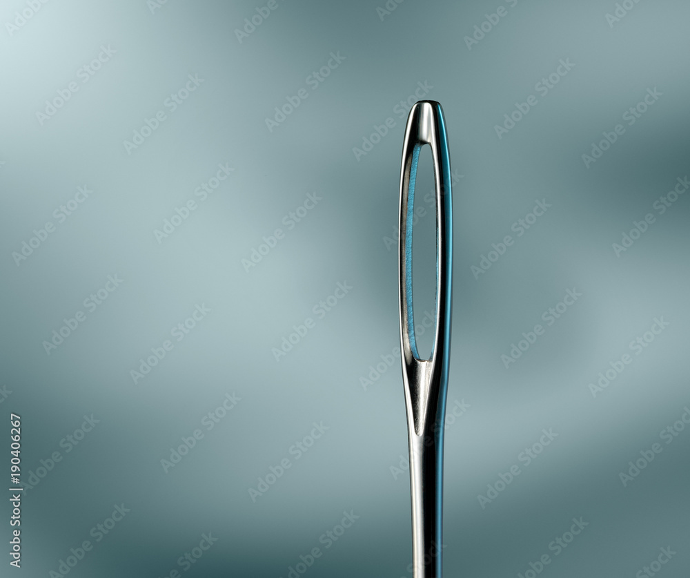 Aguja macro Stock Photo | Adobe Stock