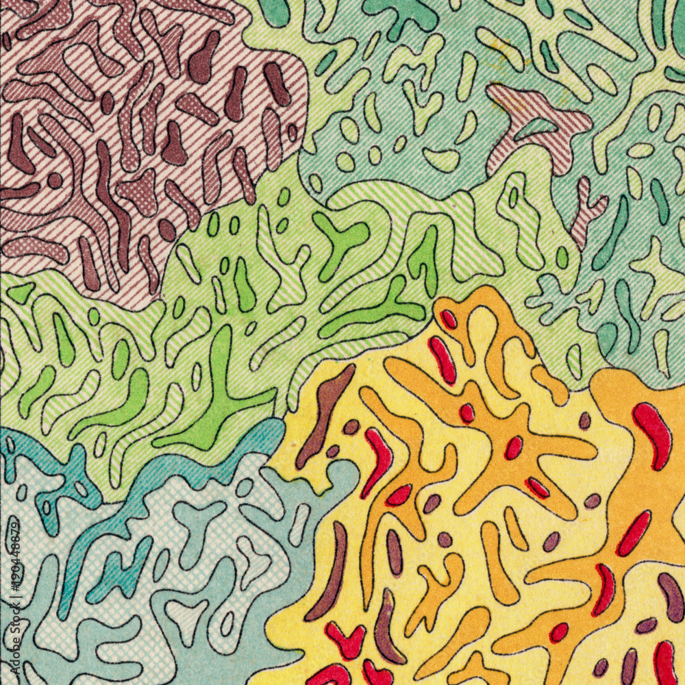 Vintage contour mapping. Natural printing illustrations of maps. Stock ...