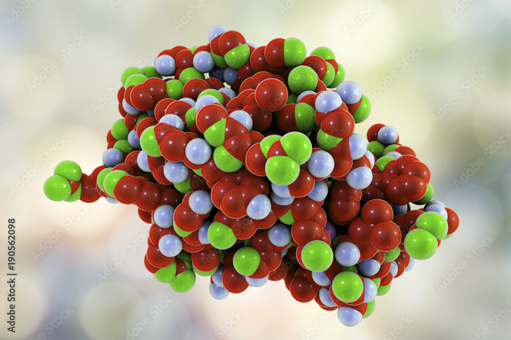 Molecular model of lysozyme protein found in tears, saliva, human milk ...