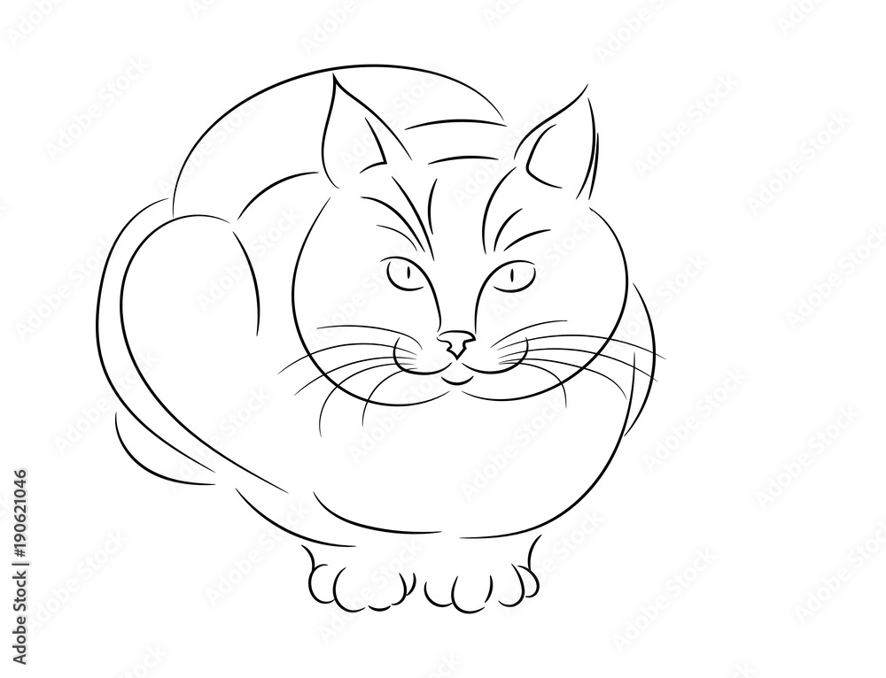Cat Sitting Front View