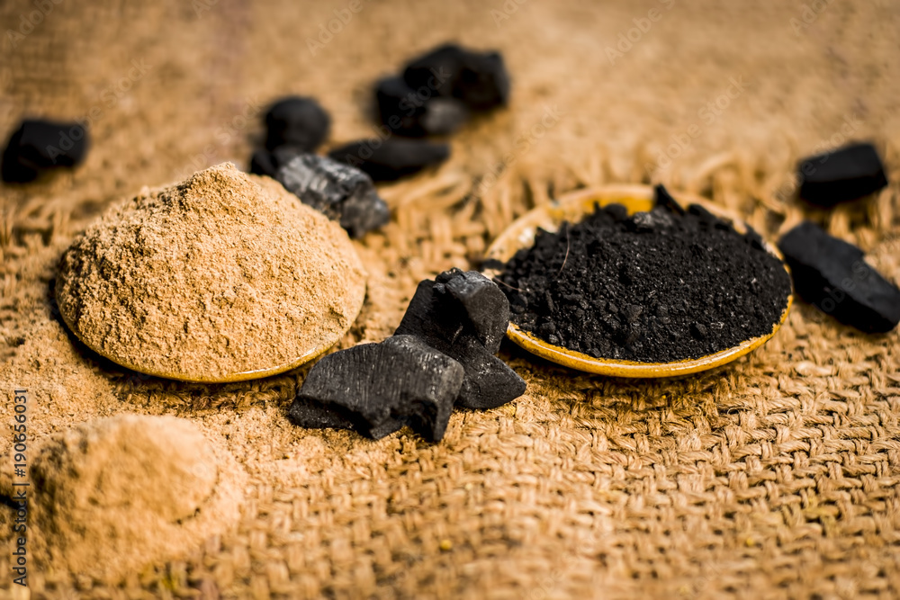 Babool fruit,Vachellia nilotica or Gum arabic tree with coal and its ...