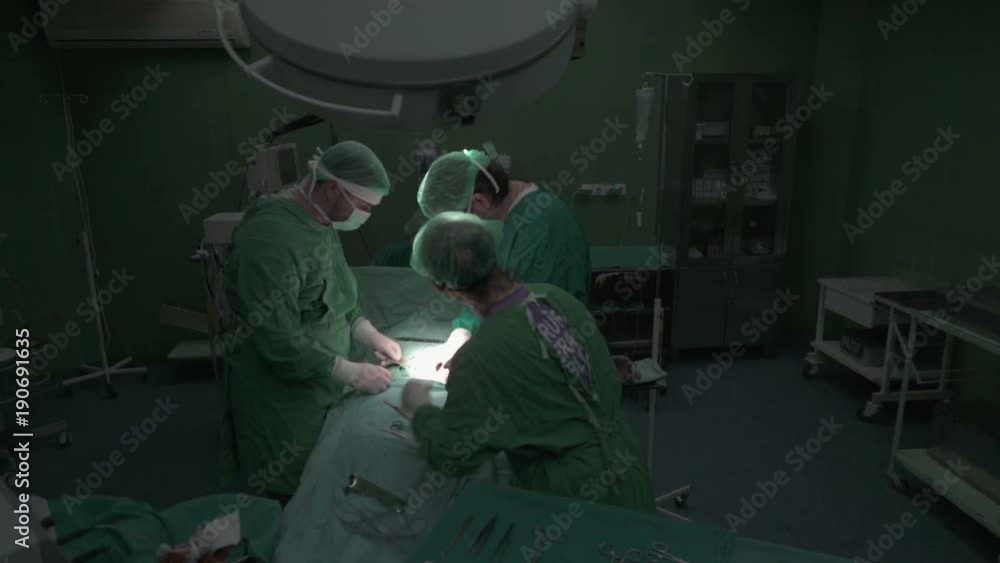 A team of senior surgeons, female medical assistant and male ...