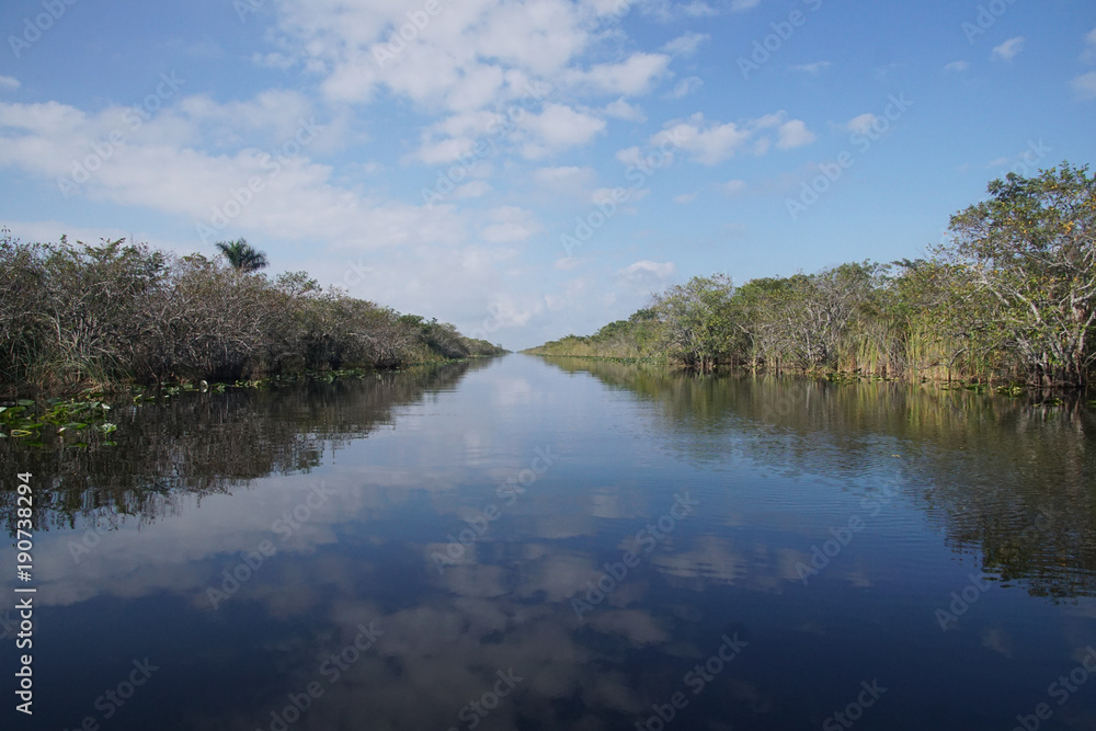 Slow moving water in everglades Stock Photo | Adobe Stock