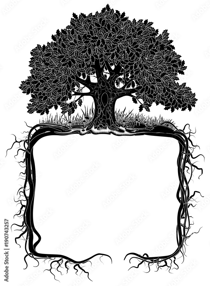 Oak tree with roots frame Stock Vector | Adobe Stock